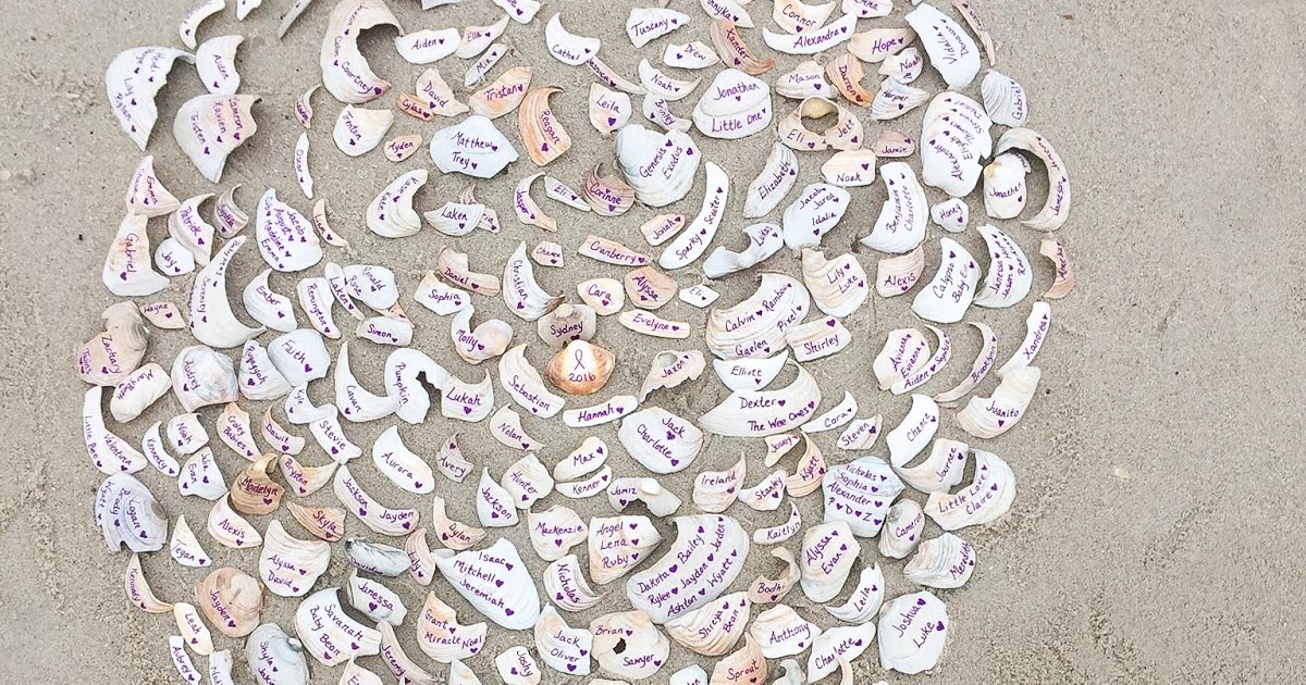 Rose and Her Lily: Broken Shells, Full Hearts