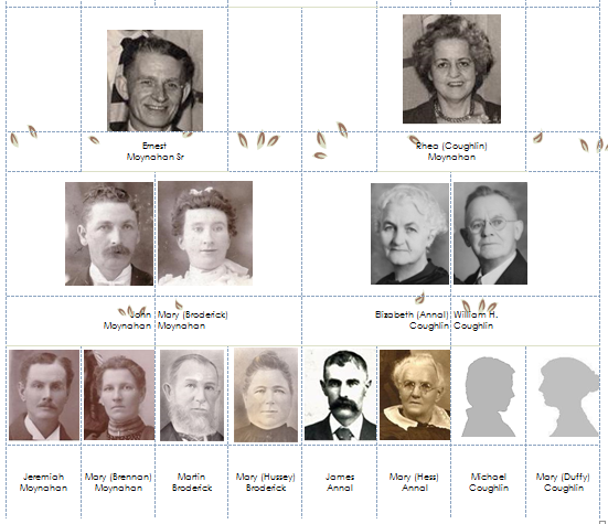 My Moynahan Genealogy Blog: 52 Ancestors No.32: My 32 3rd-Great ...