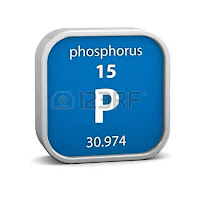 Heraldry of Life: 15.PHOSPHORUS - ART with P-chemical element symbols