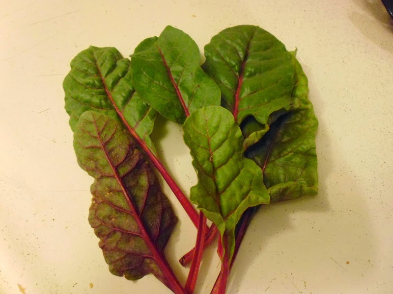 Ruby Red Swiss Chard | Greens and Machines
