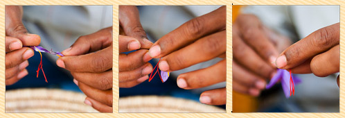 SAFRAN DE TALIWIN ~ SAFRAN DE TALIWIN