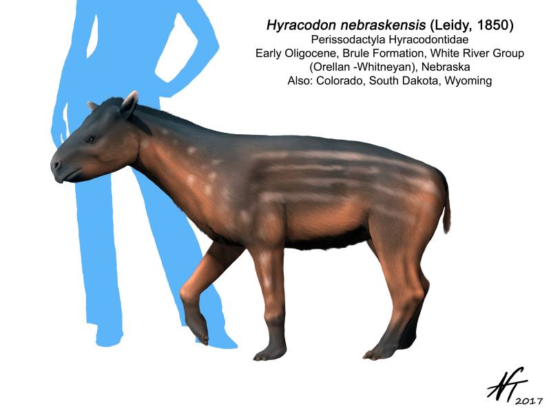 Tunes' wishlist - Page 2 - The ZT2 Round Table