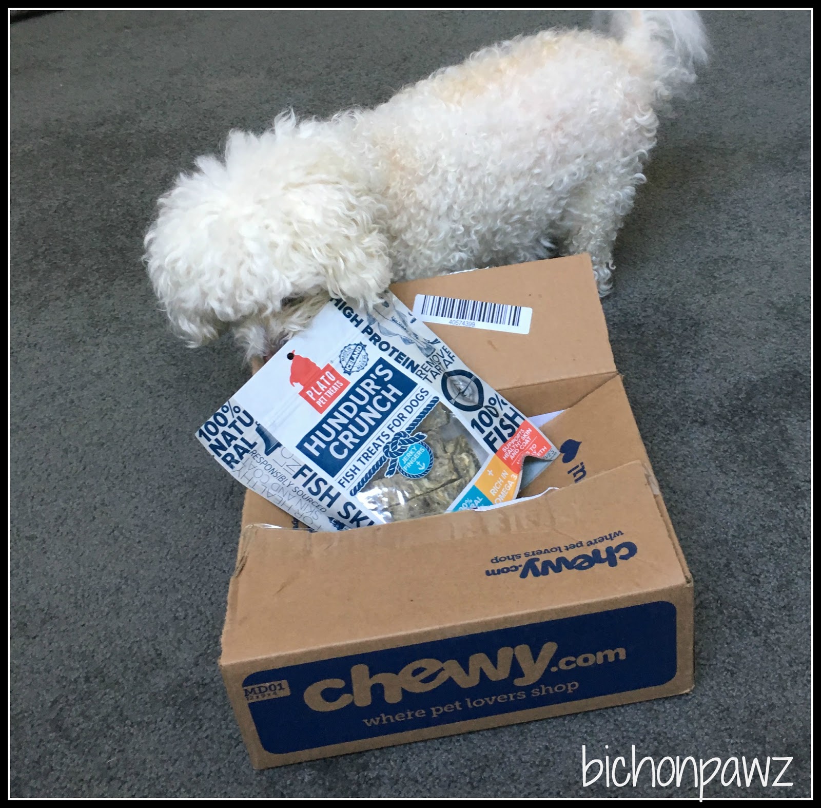 bichonpawz: Chewy Delivery: Plato Pet Treats - Hundur's Crunch