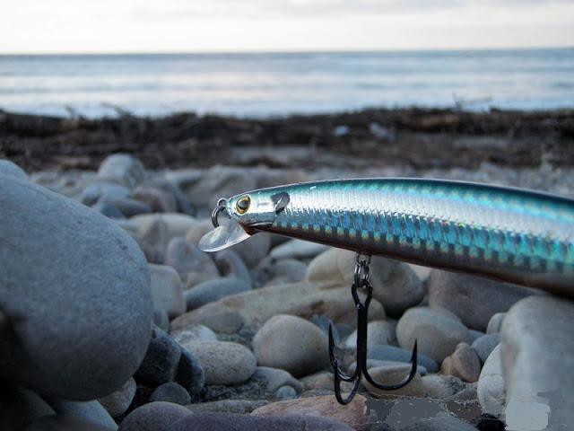 Artes de Pesca: VAMOS A PESCAR SABOGA