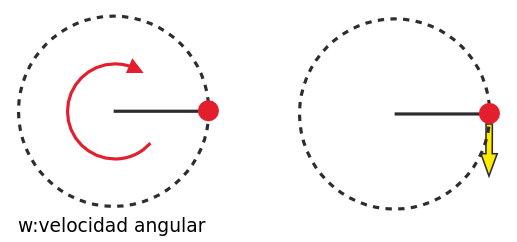 Material de ayuda colegio Pilar: Movimiento circular