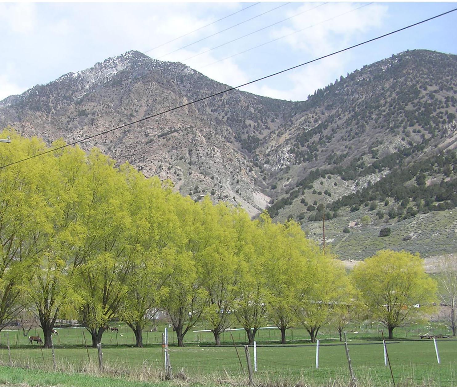 Elder JJ Simonsen: Spring to Summer with Elder Simonsen in the Utah ...