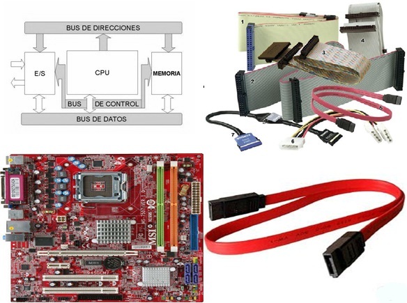 Computación e Informática: Buses