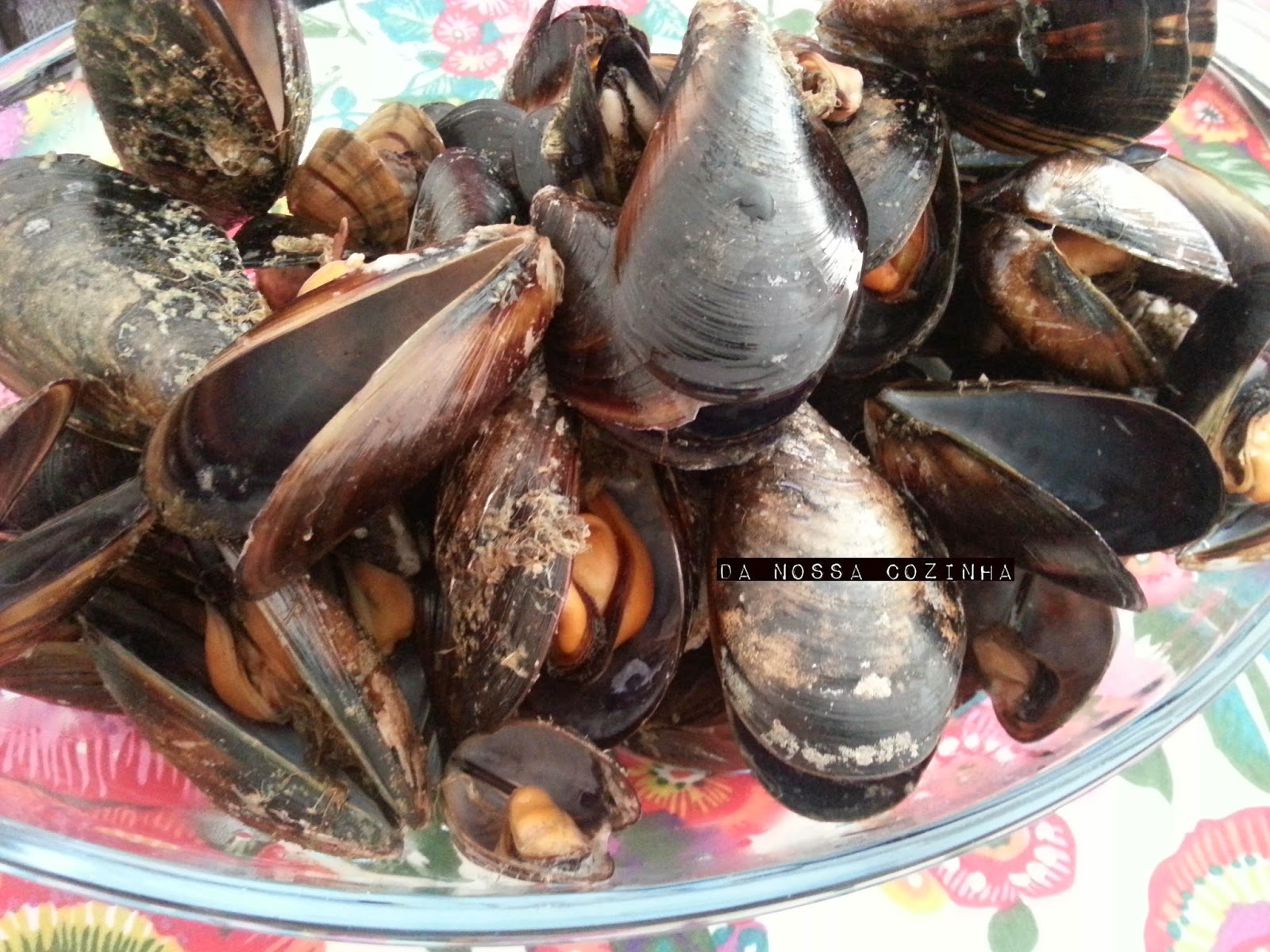 Da Nossa Cozinha : Viv'ó Mexilhão!