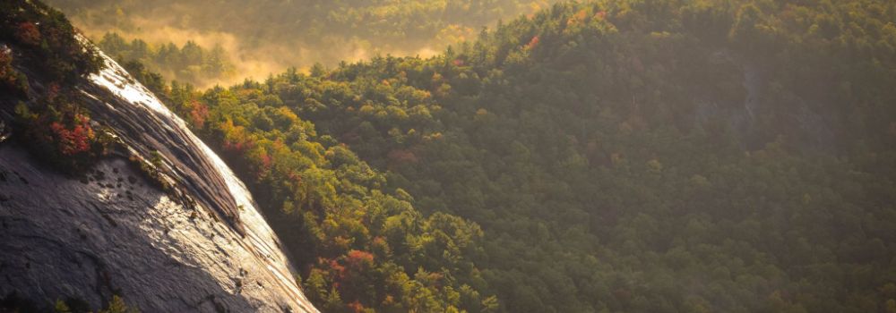 Cara Membuat Slideshow di Halaman Website | franzcodes