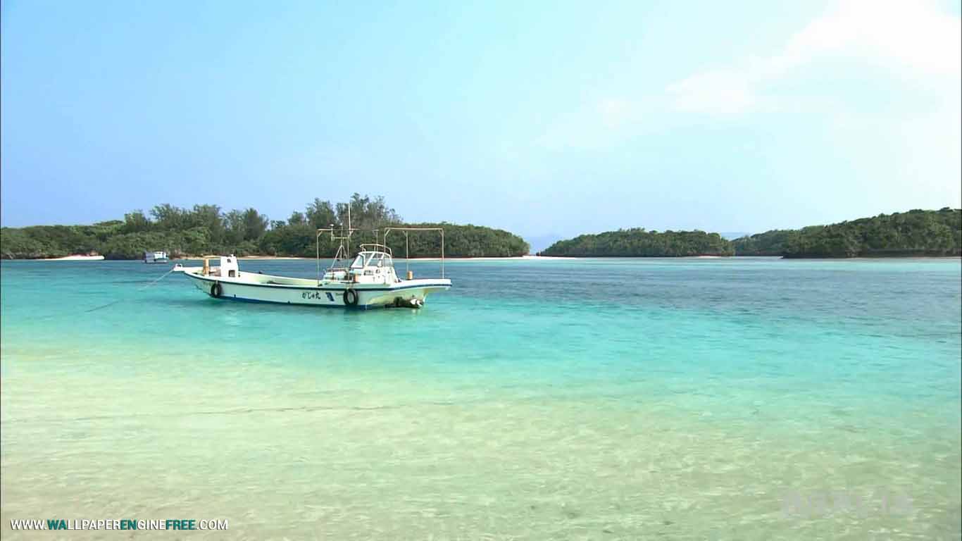 Tropical Beach 1080P Wallpaper Engine