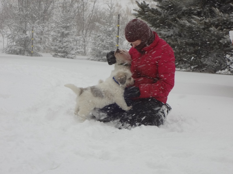 Housman Farms: Fun in the Snow With Pyrenees Puppies