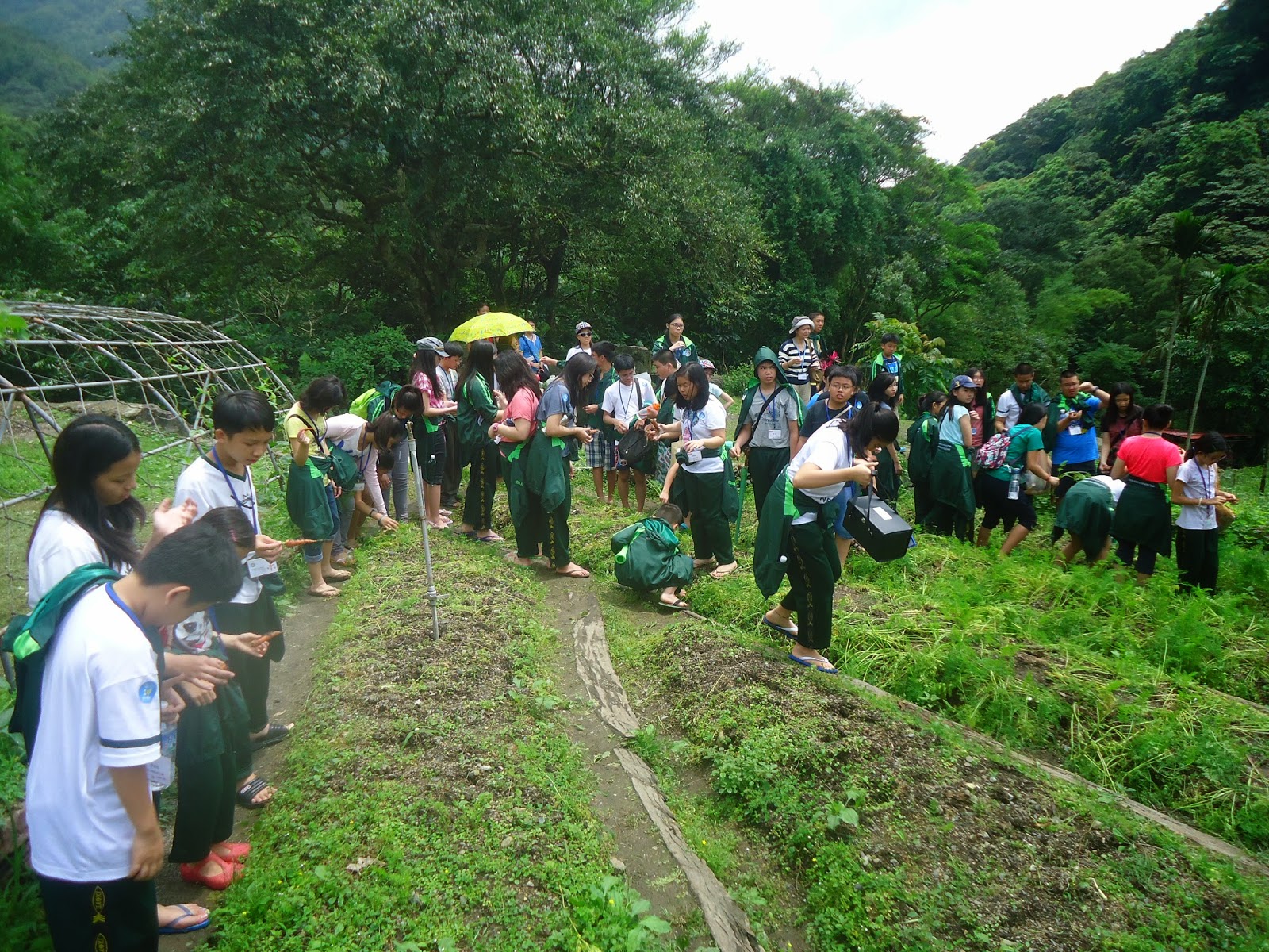 International Interns @ Toucheng Leisure Farm: MGC New Life Christian ...