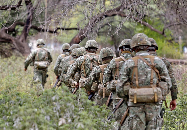Defensa y Armas: Defensa: militares en acción, la nueva piedra de la ...