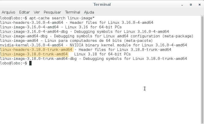 Tenha a ultima versão do Kernel Linux no seu Debian Testing