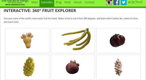 Fruit Explorer: The Fruit Explorer Investigates Other Fruit Explorers