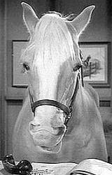 Classic Television Shows: Mr. Ed: The Talking Horse