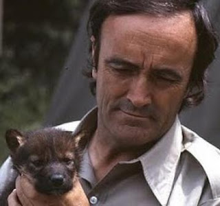 La línia de Wallace: de març 2012