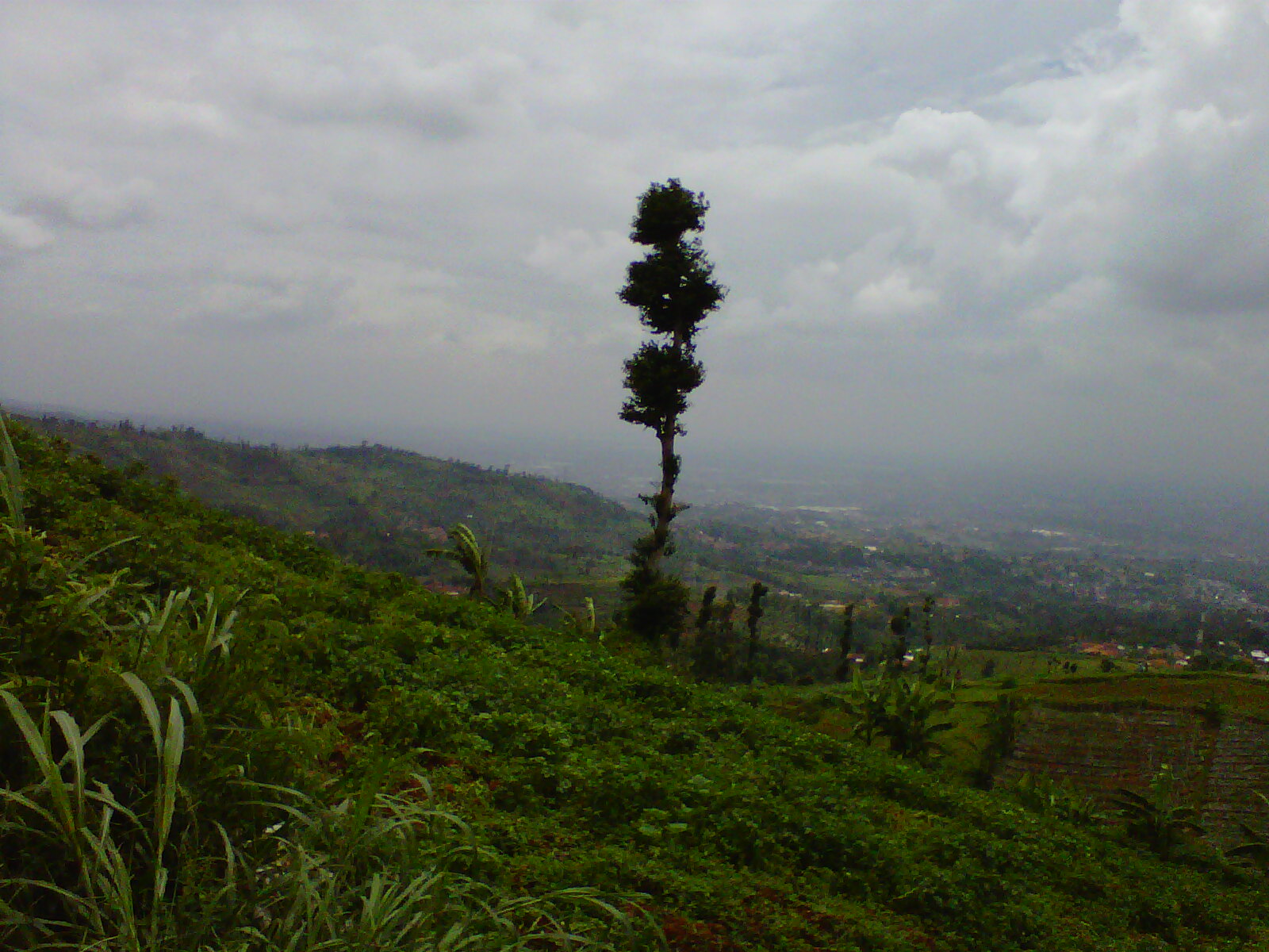 Aneka Rupa: Cartil (Caringin Tilu) alternatif tempat nongkrong ...