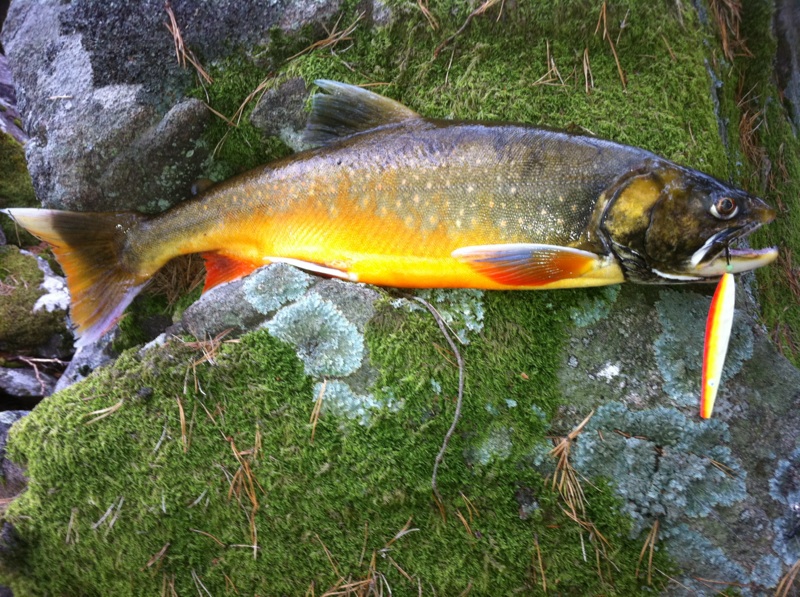 TEAM UFLING: Vättern röding på Snurrebassen