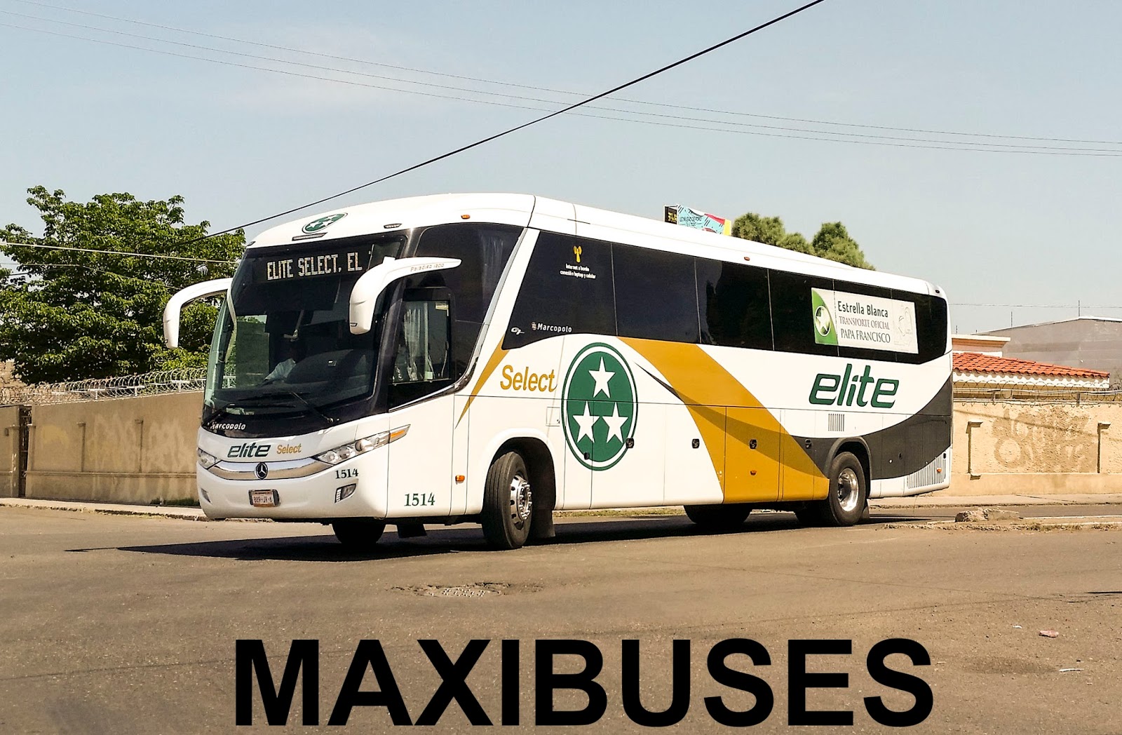 MAXIBUSES: ELITE SELECT
