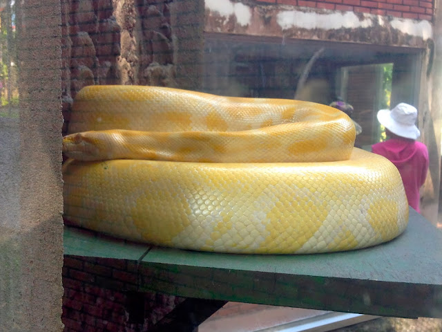 A Ben Abroad: Saigon Sights: The Saigon Zoo and Botanical Gardens