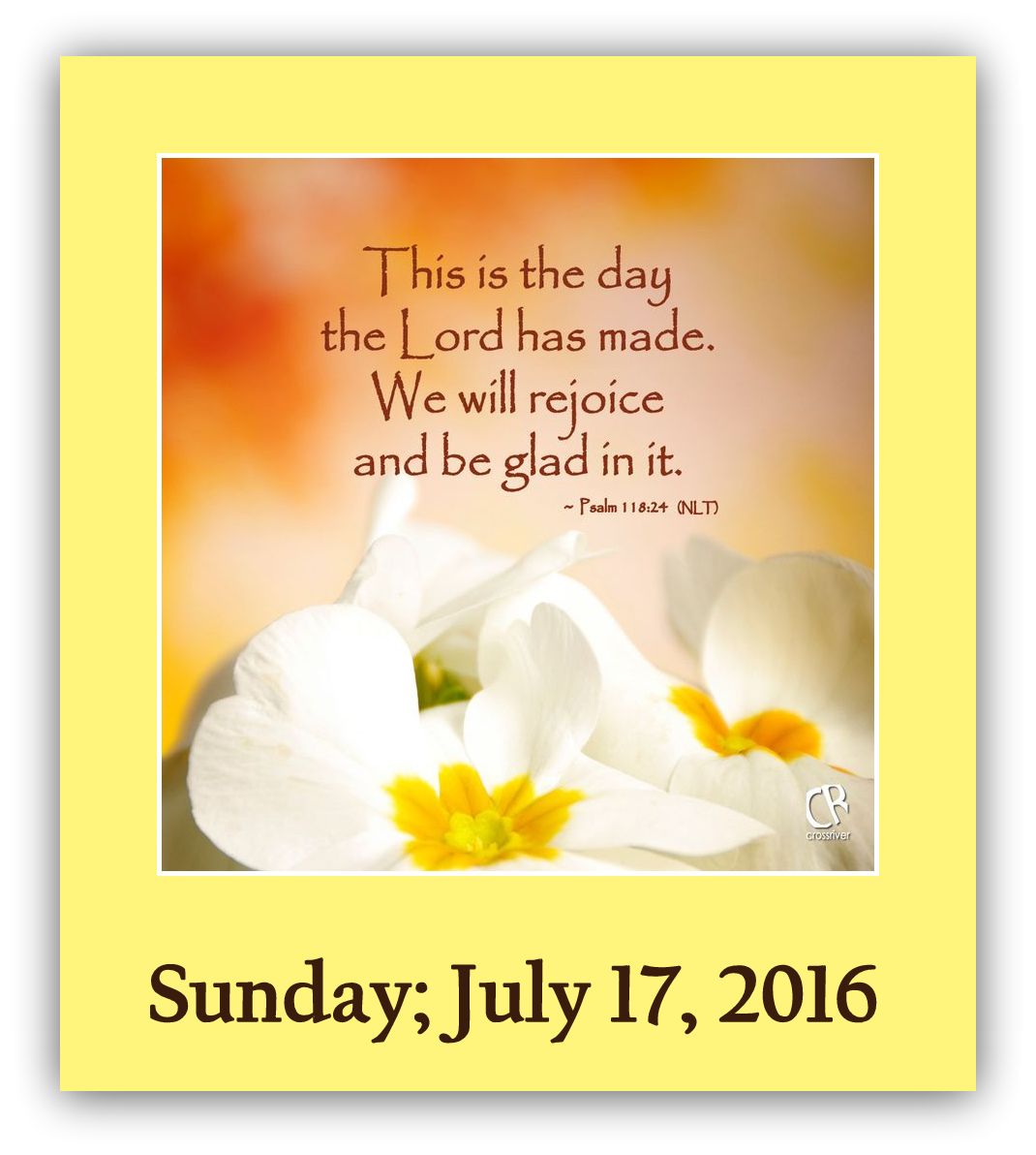 Gillowbugs Daisy Tales Rejoice Psalm 118 24 gillowbugs-daisy-tales-rejoice-psalm-118-24