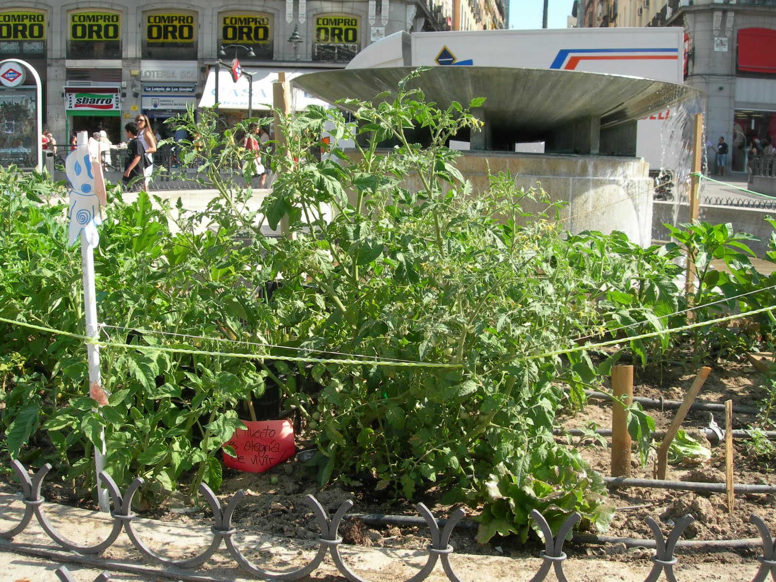 Polystyrene Garden Junkie: 2011