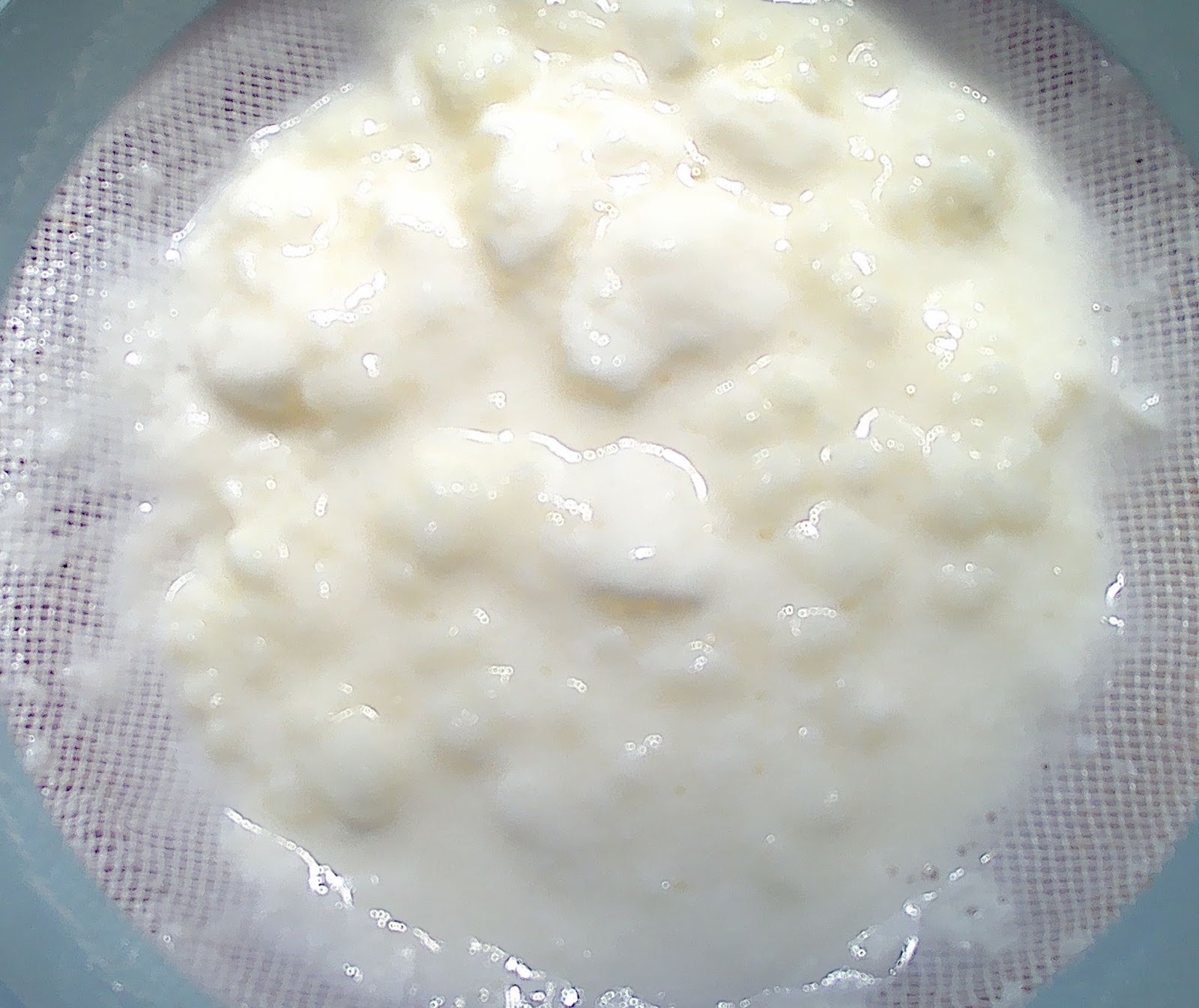 Kefir de leite