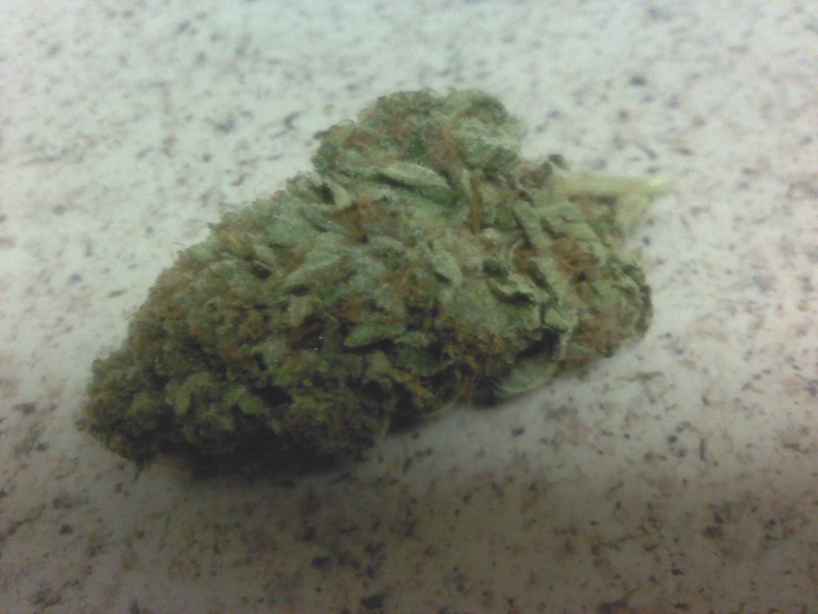 THE G SPOT: Neptune OG