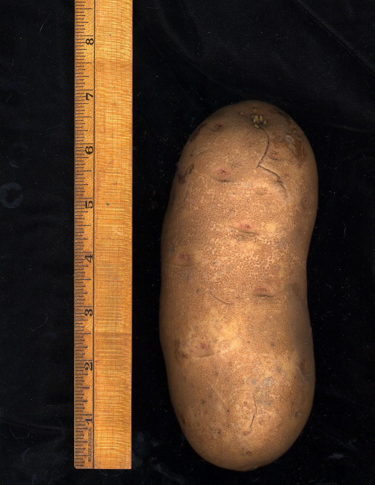 Windflower Farm Weekly: IDAHO Part Three