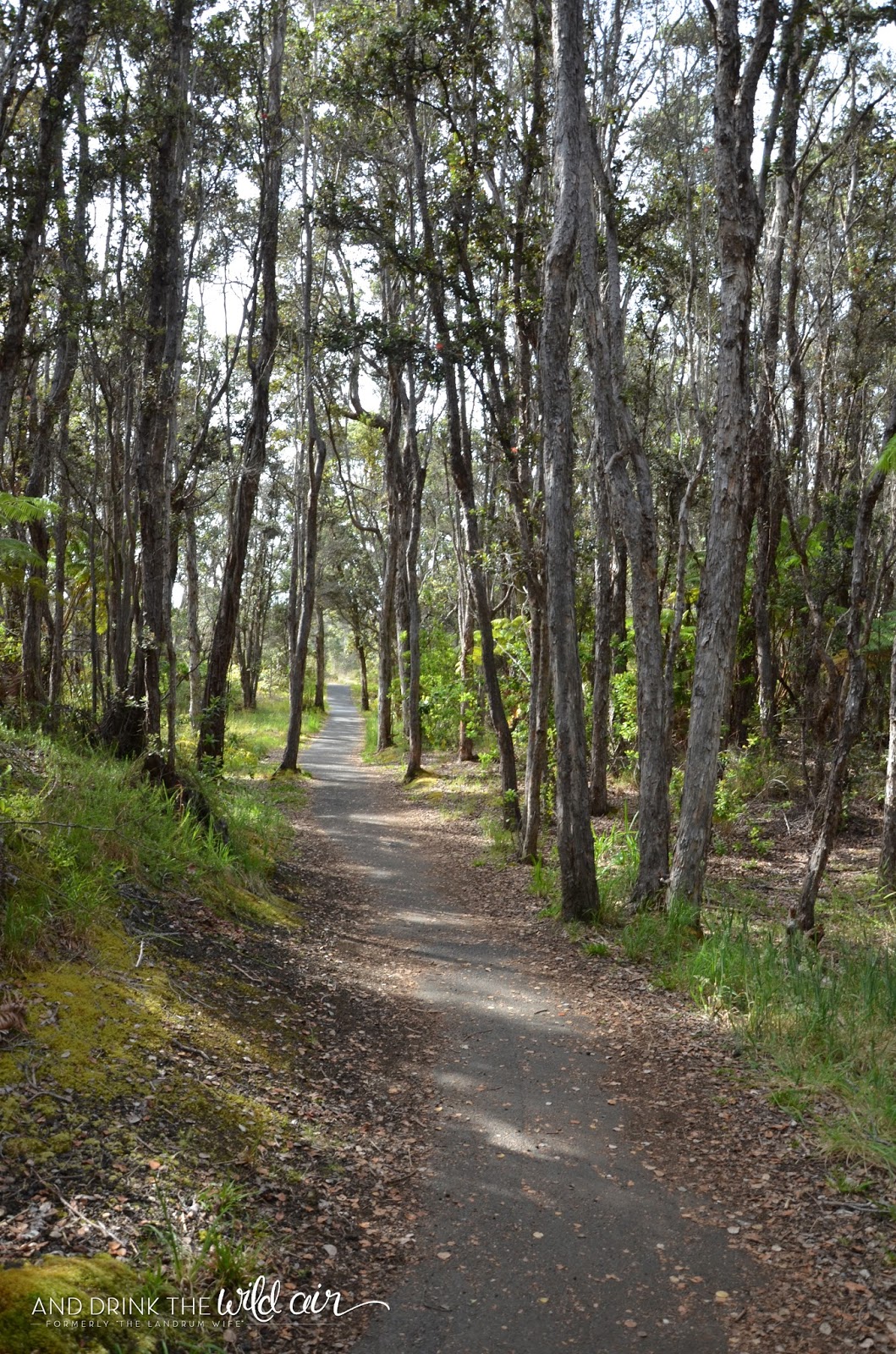 Devastation Trail