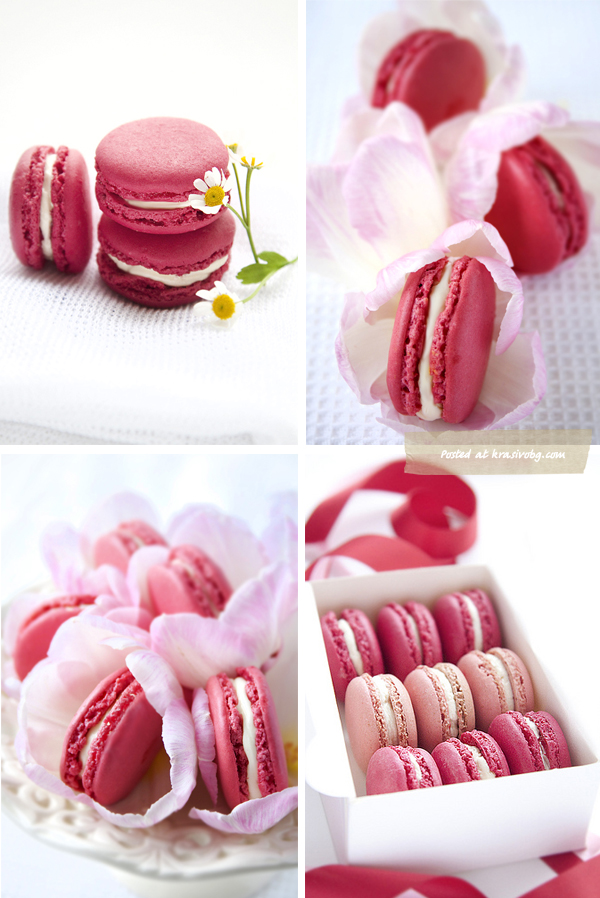 KRASIVO: Mowie Kay food photography