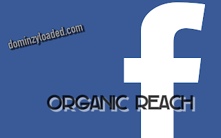 How To Boost Your Facebook Organic Reach - DominzyLoaded Tech