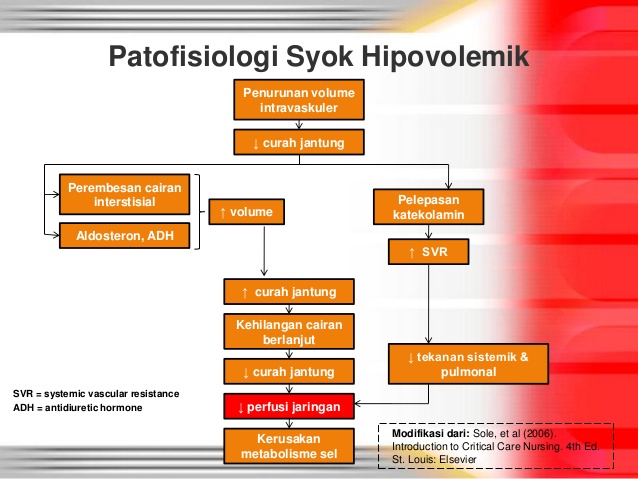 SYOK HIPOVOLEMIK ~ Pena Medis