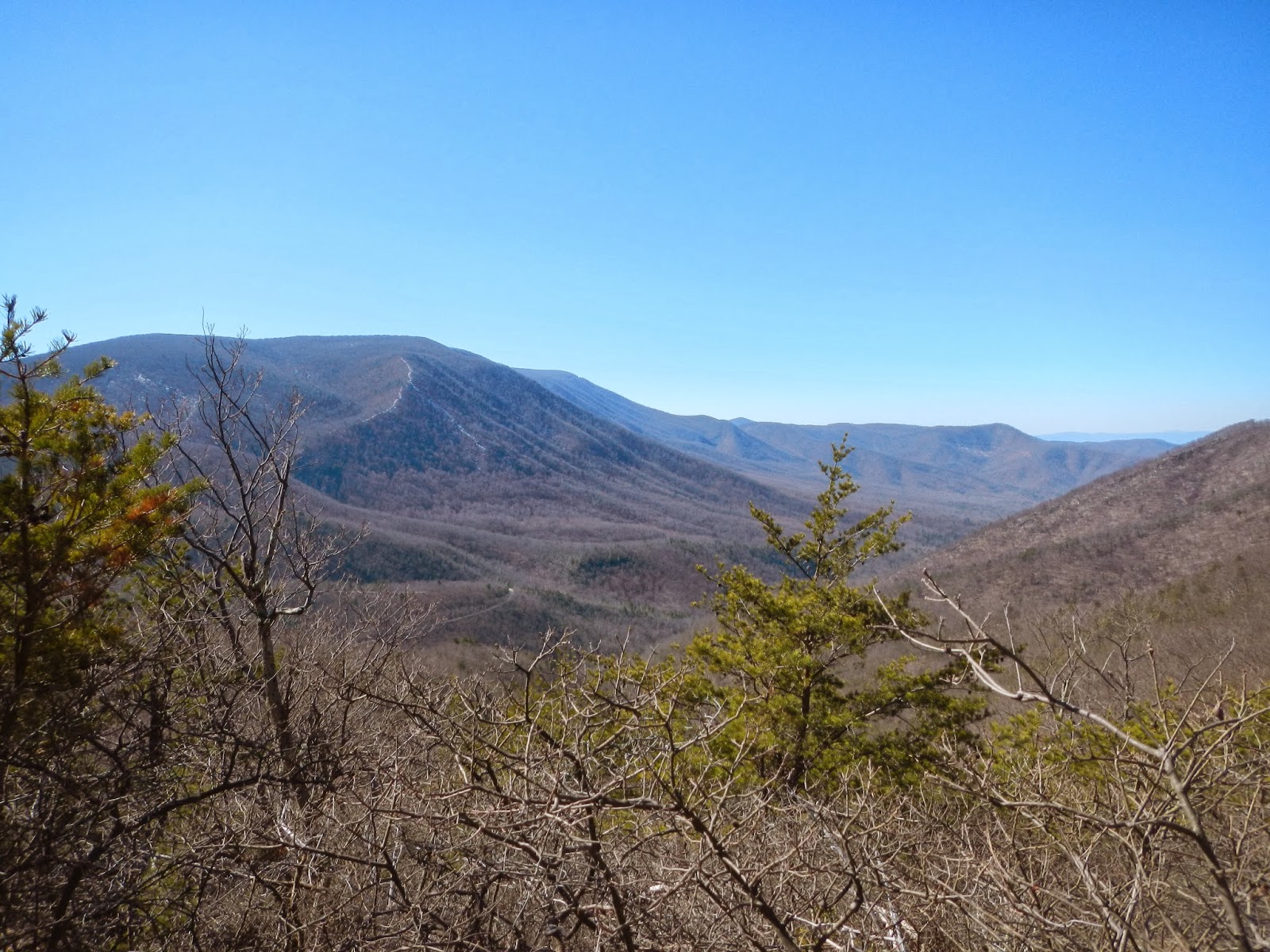 Wandering Virginia: Piney Ridge Trail and Matts Creek Trail in the ...