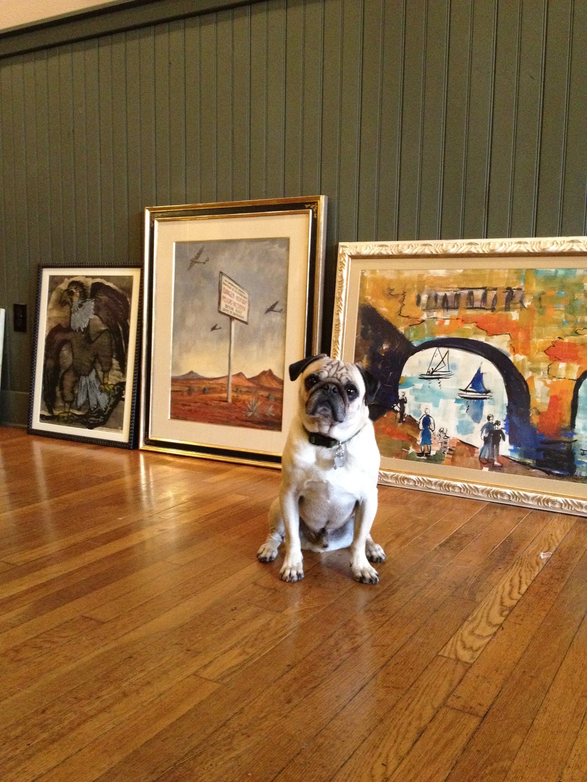 Airport Dog: Artsy and Hatty