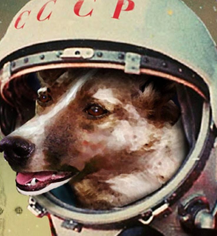 LAIKA- FOTOGRAFIAS TESTEMUNHAS DA HISTÓRIA