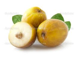 Health,Disease and Genetics: Ber - nutrient-dense fruit