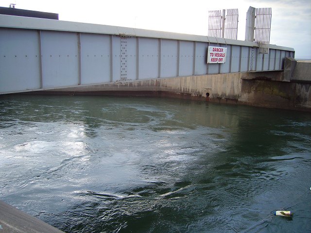 Stevie's Fishing Blog