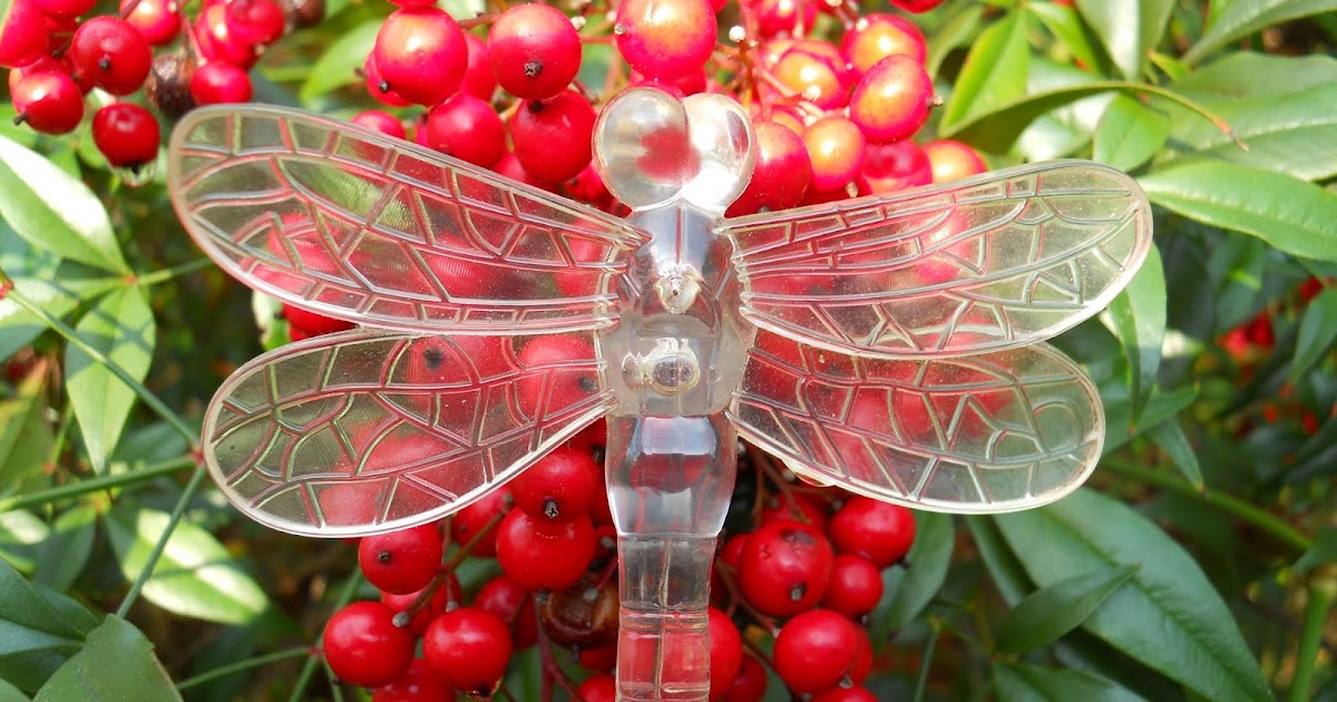 Chaotic Terrain Press: Demon Dragonfly