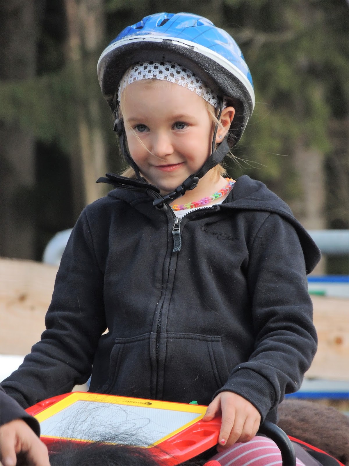 Leonharder Blogspot: BRIXIS BUNTE PONYWELT