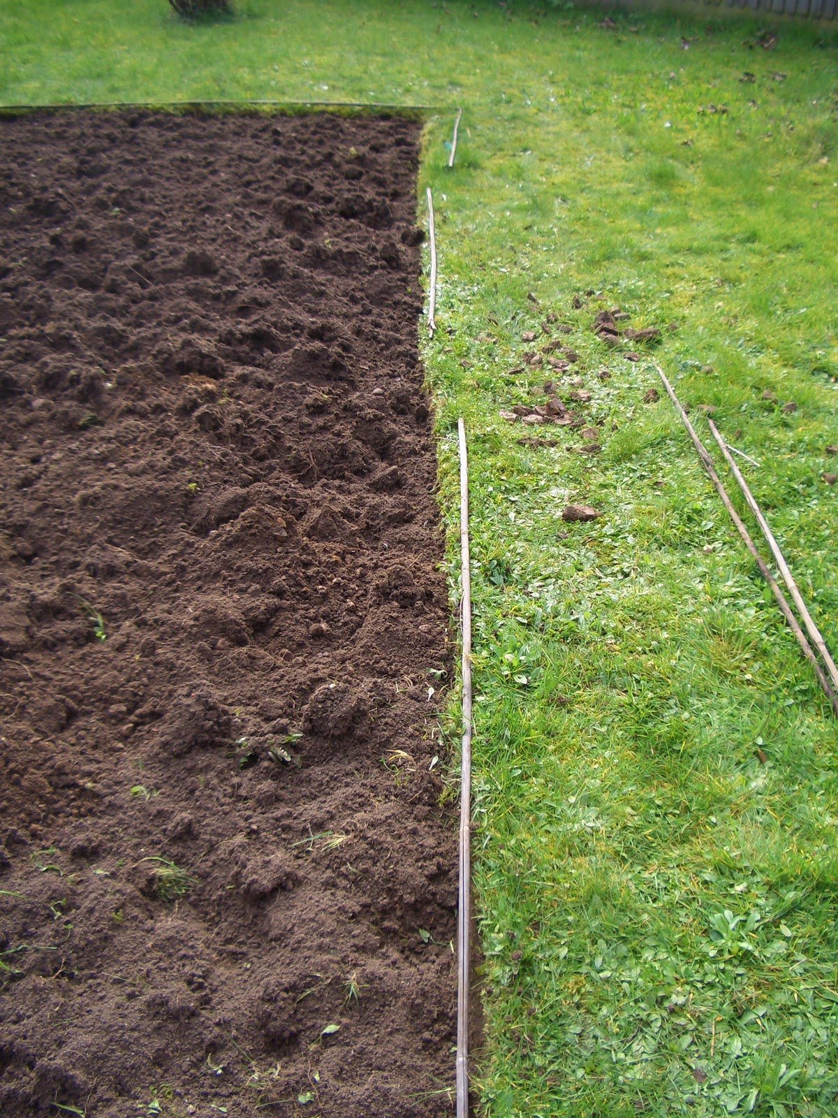 My Allotment: Turning a lawn into a vegetable garden!