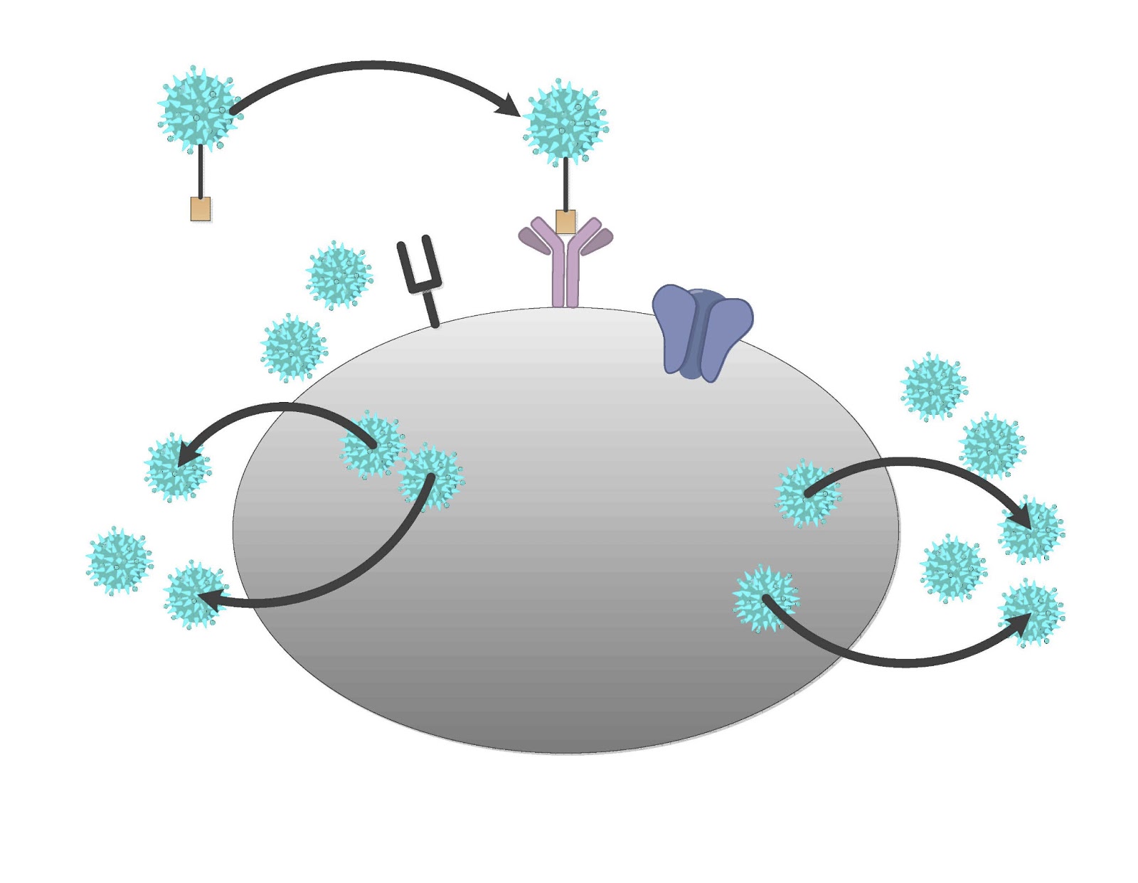 The Squirrel's Nest: Melanoma and TVEC