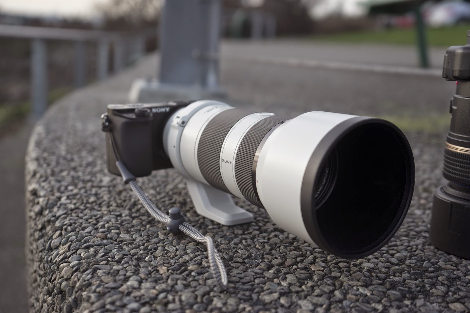 Fotodiox Signature Tough E-Mount LT - Review