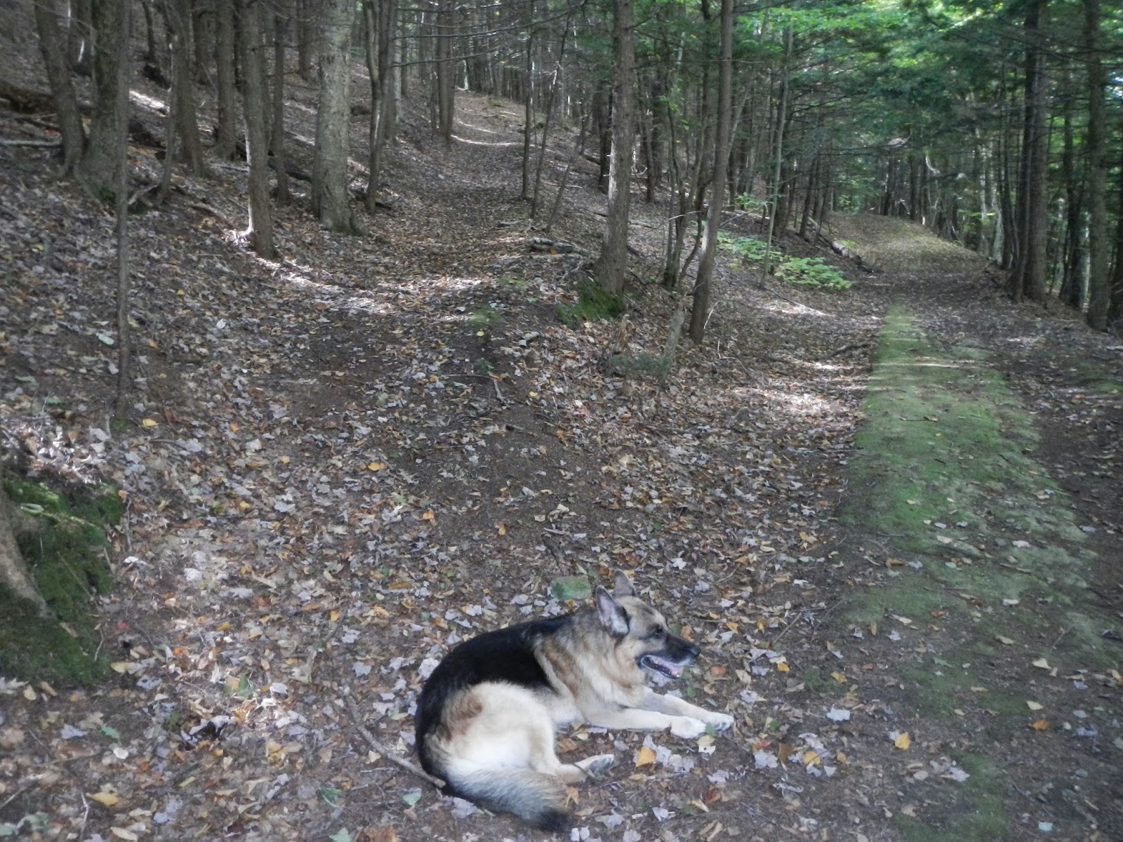 Mahican-Mohawk Trail Maps