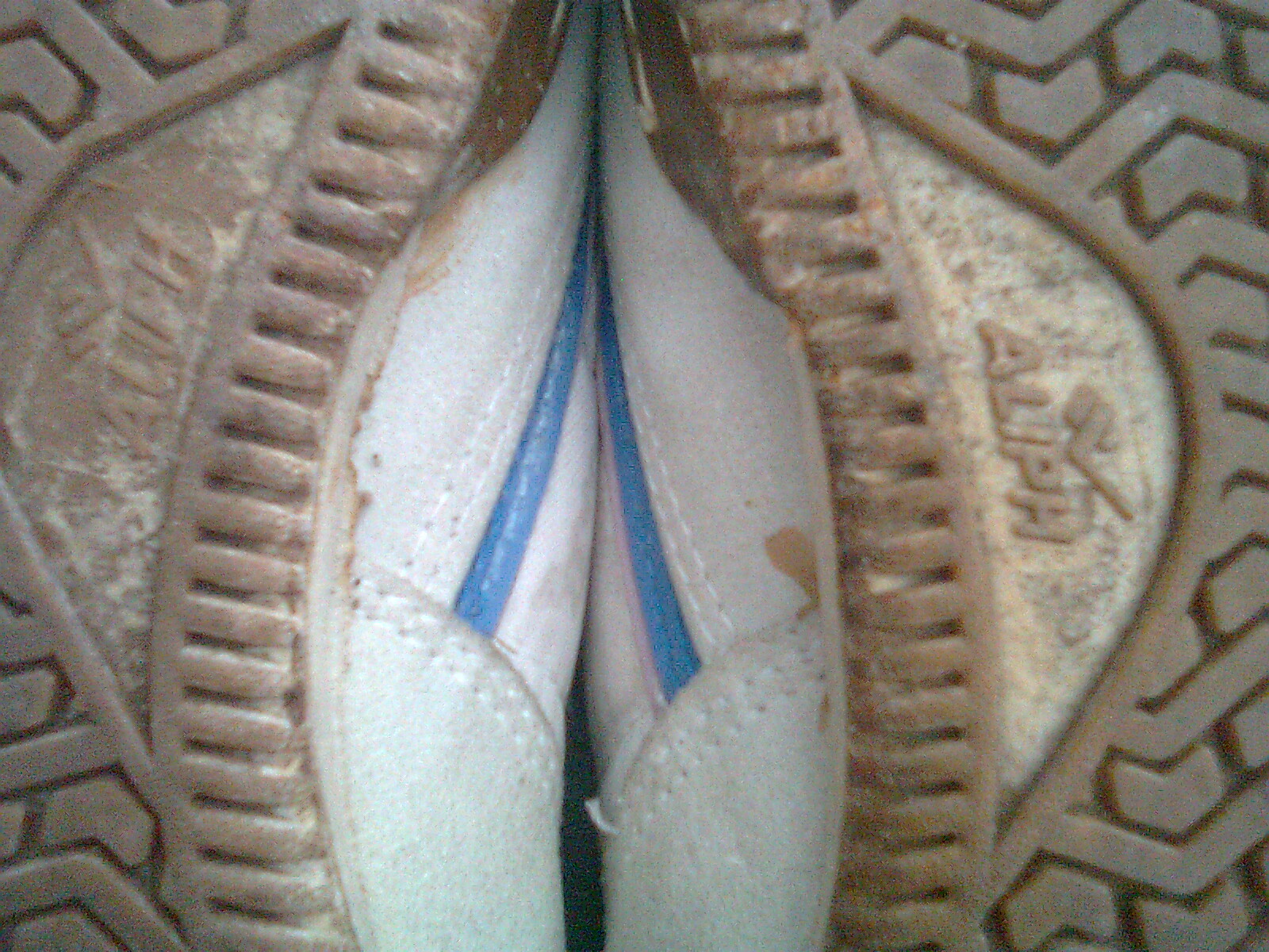 STYLOBUNDLE: ALIPH DASHER SHOES