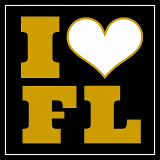 Custom Ink | Sports Teams | Color Palette: UCF Knights