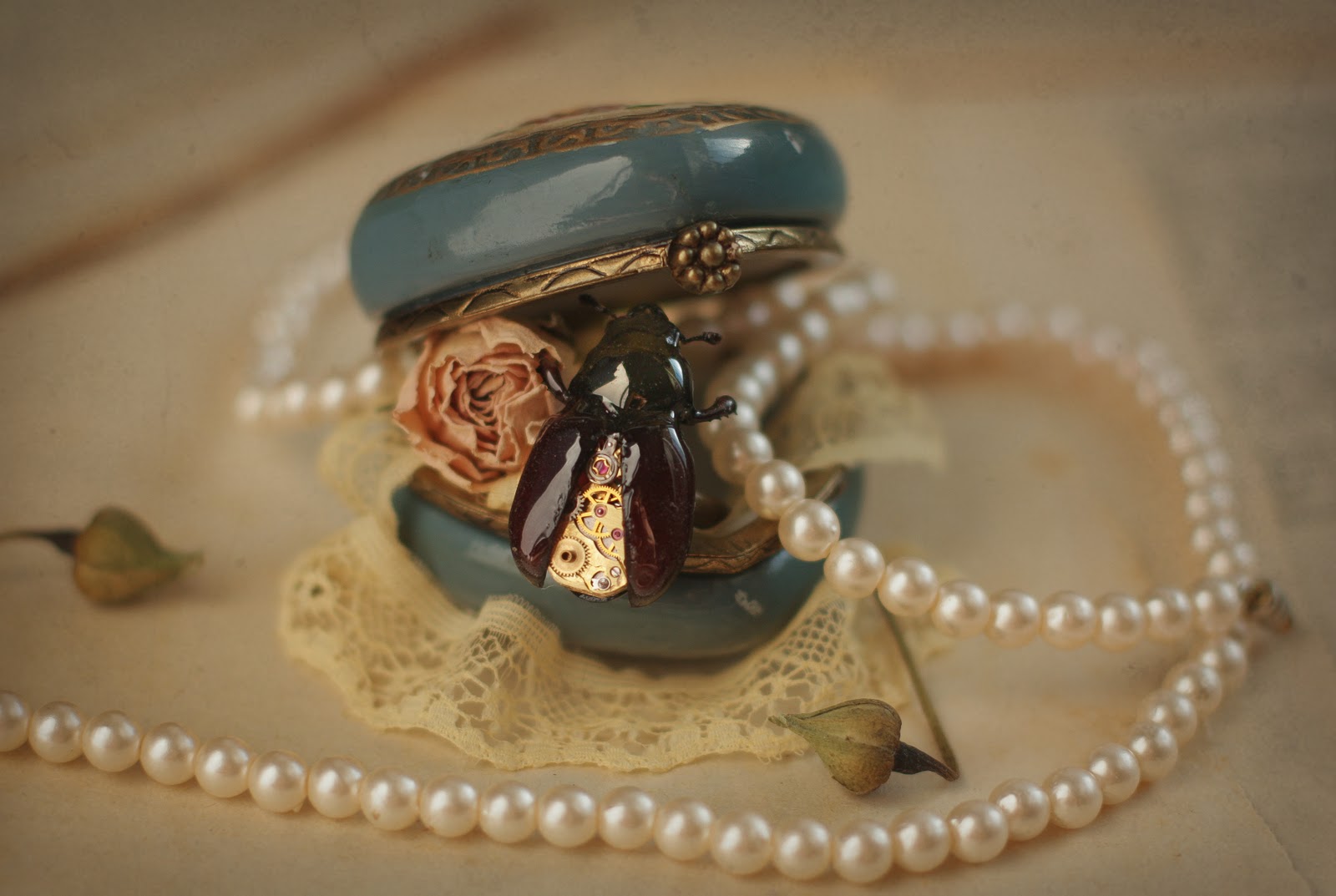 Silvia Banyoi: Lucanus cervus