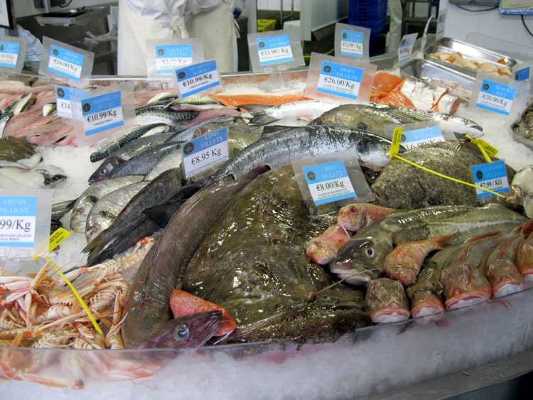 Greyhound: De viswinkel in Union Hall