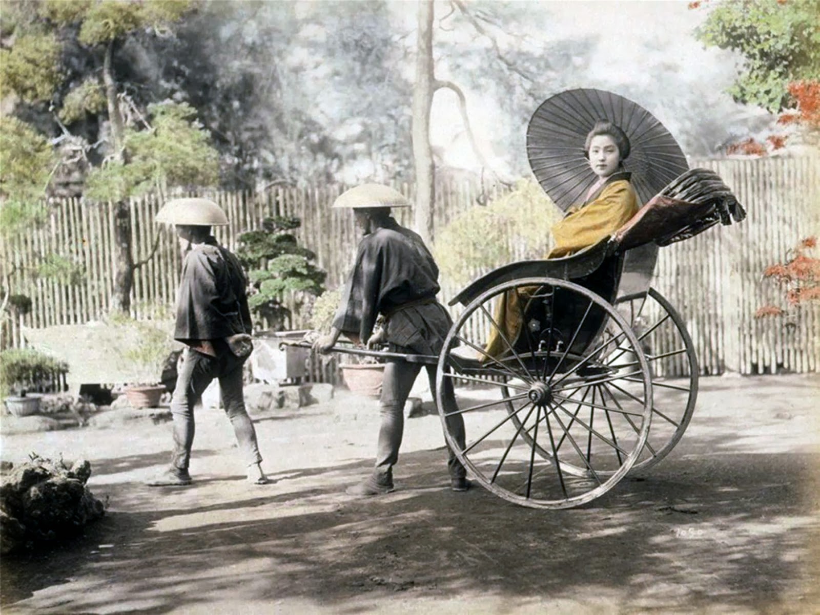 transpress nz: traditional rickshaw, Japan